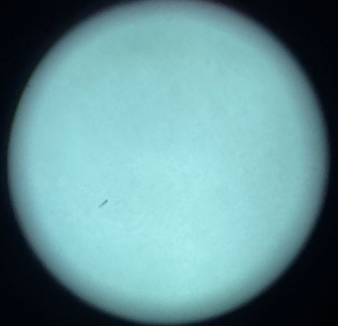 NVO PVS-14 (L3 FILMLESS) *TRADE-IN* – Night Vision Outfitters